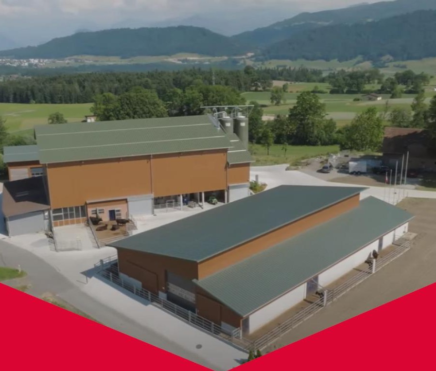 Chrummbaum - Die VecTour macht halt im Chrummbaum